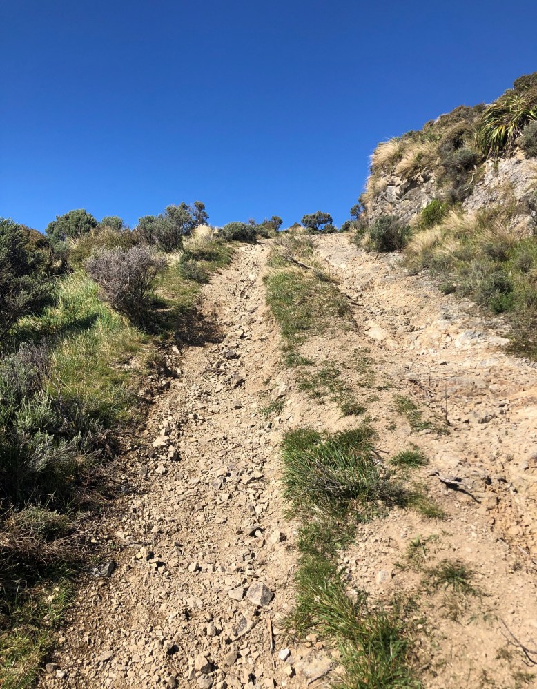 Tip Track Marathon – Run Wellington